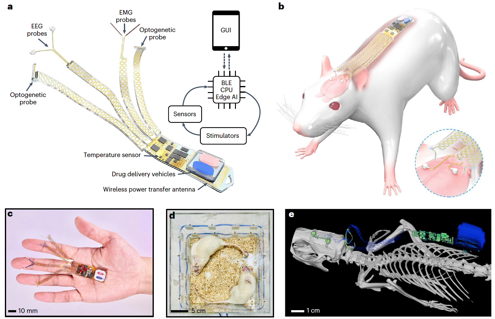 Research – Bio-Integrated Microsystems Group